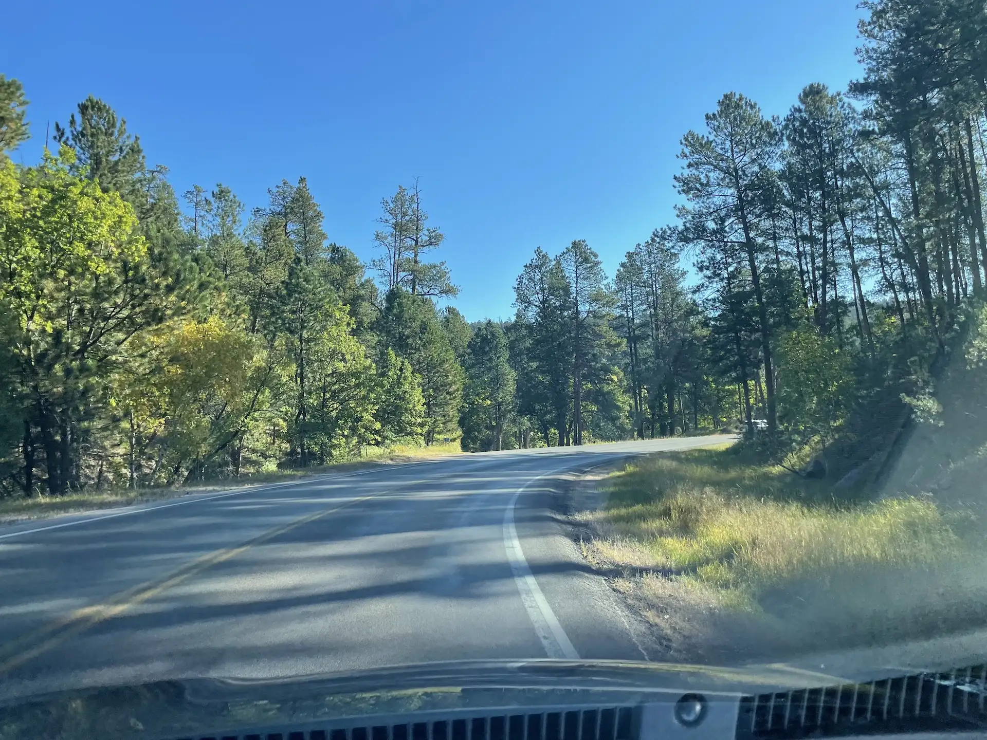 Roadtrip 2022 | Tag 5: Custer State Park und Cheyenne
