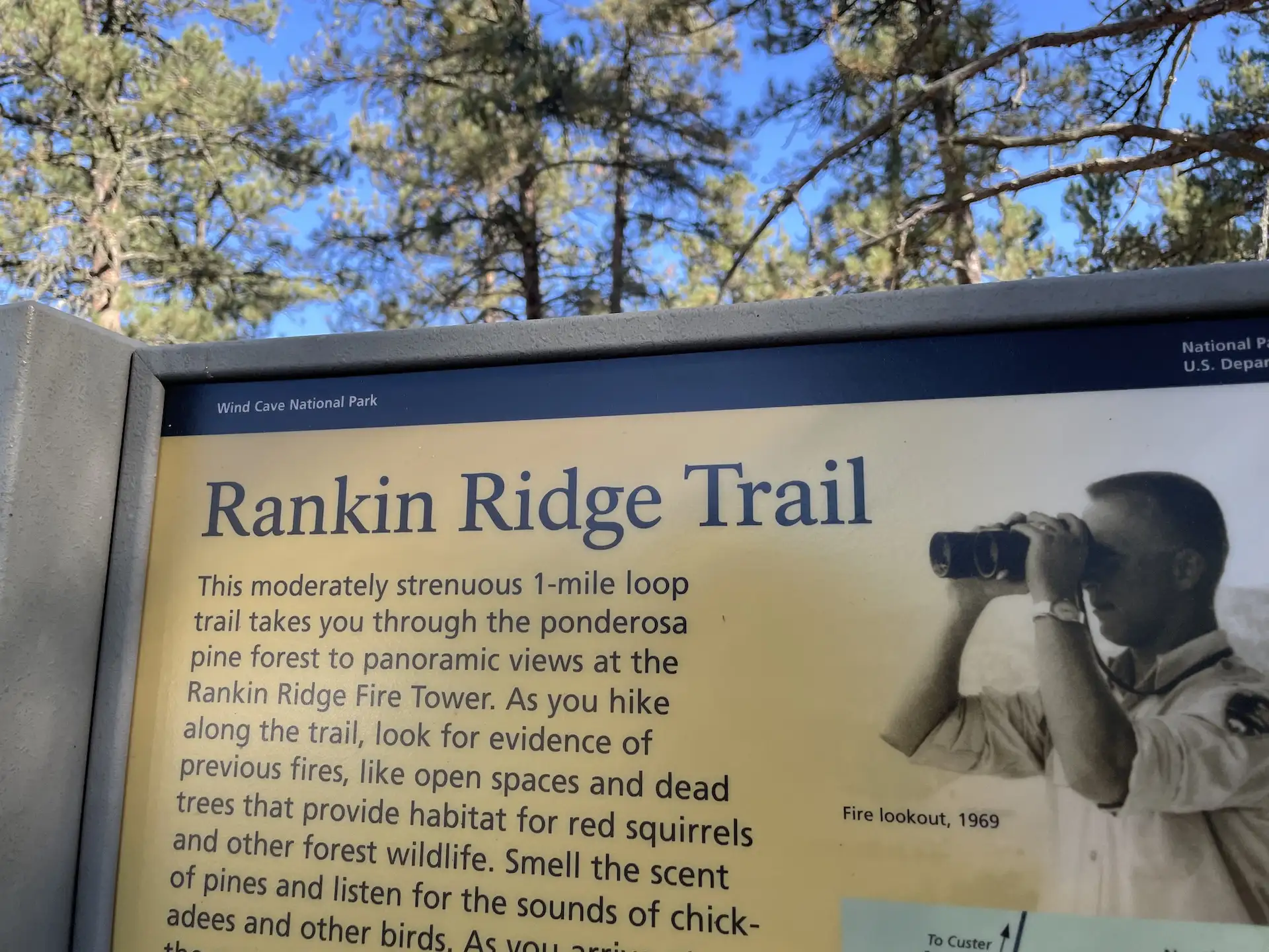 Roadtrip 2022 | Tag 5: Custer State Park und Cheyenne