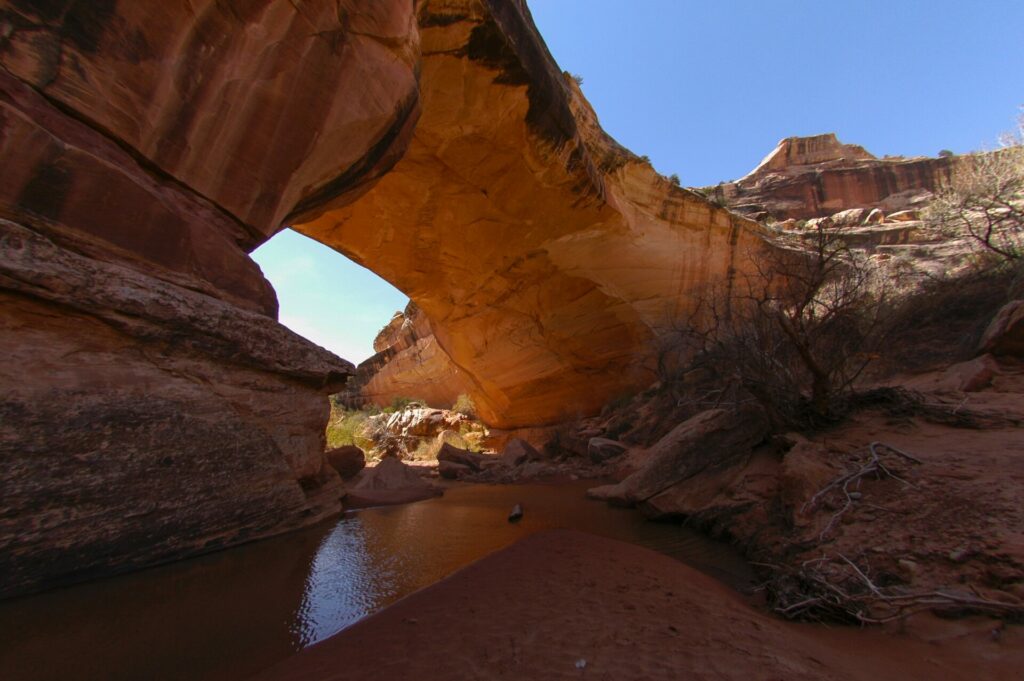 Natural Bridges National Monument - Reisetipp USA
