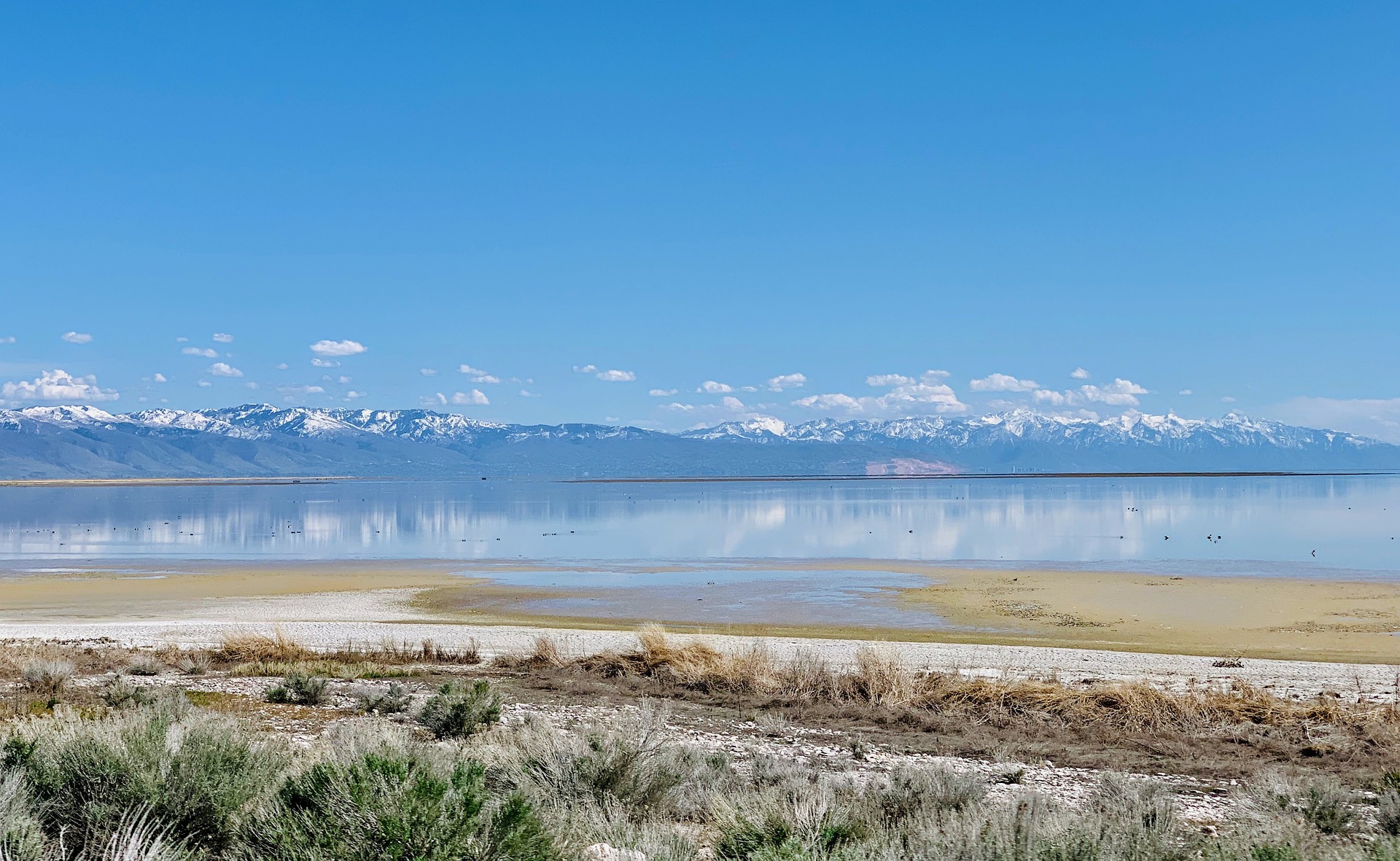 Antelope Island State Parks im Großen Salzsee von Utah