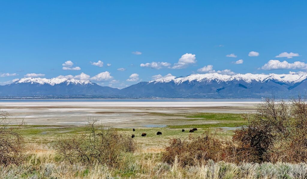 Antelope Island State Parks im Großen Salzsee von Utah